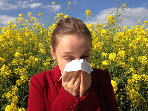 Sulfite Allergy & Sensitivity: Symptoms, Tests & Treatments – welzo