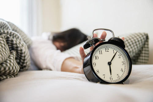 Cat Nap: What It Is and How Long It Should Last - Welzo