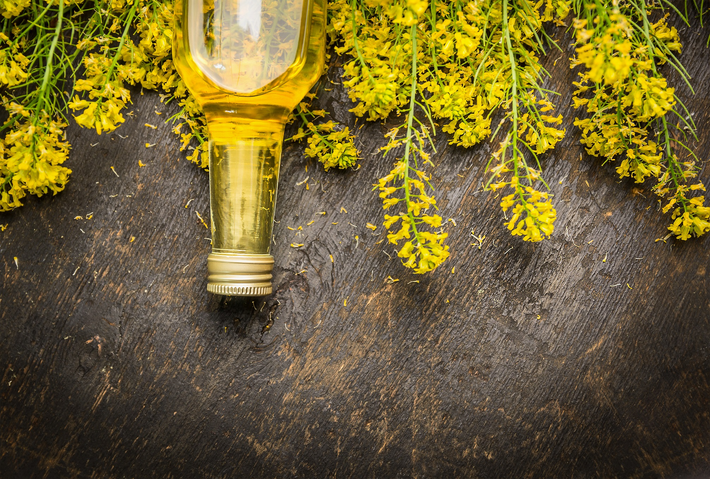 Rapeseed Oil: Benefits, Risks, Uses - Welzo