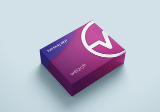 Full Body MOT Health Check - Welzo